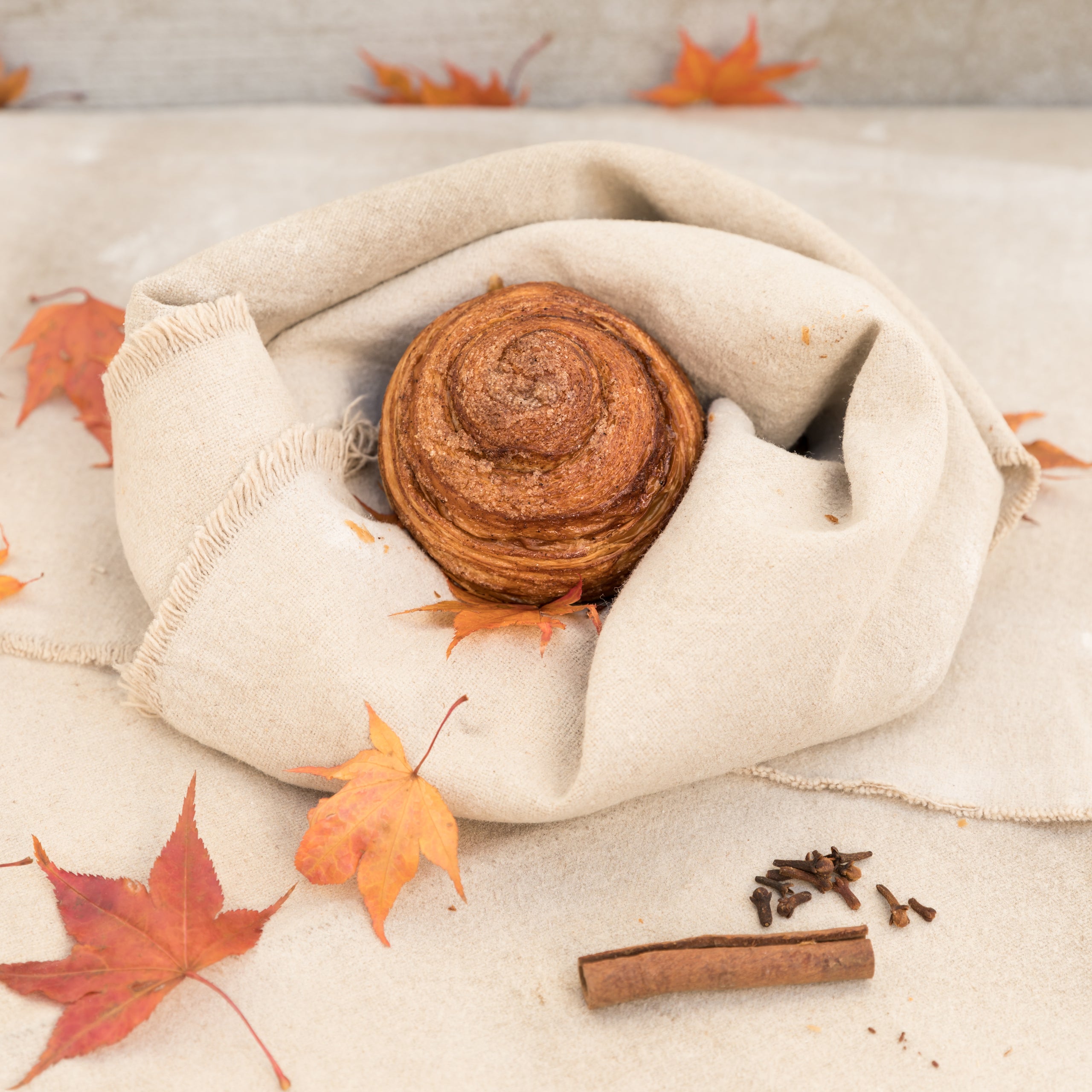 Gingerbread Escargot | CHOC O PAIN